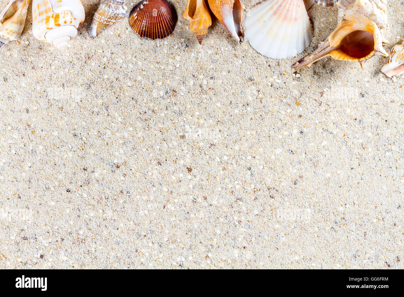 Travel background with sand and shells. Summer beach Stock Photo - Alamy