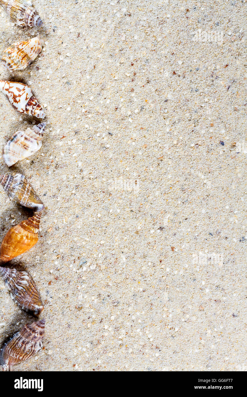 Travel background with sand and shells. Summer beach Stock Photo - Alamy