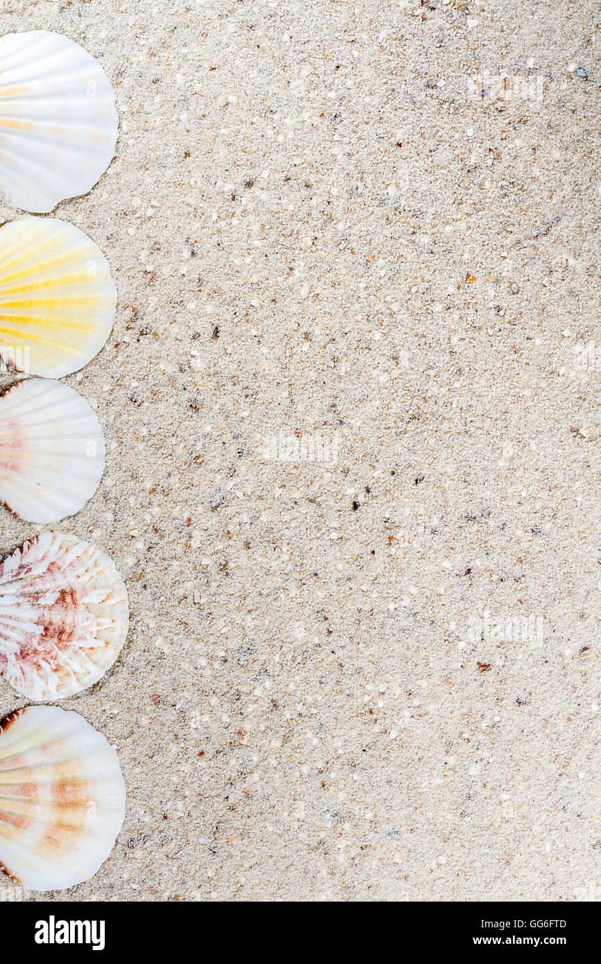 Travel background with sand and shells. Summer beach Stock Photo - Alamy