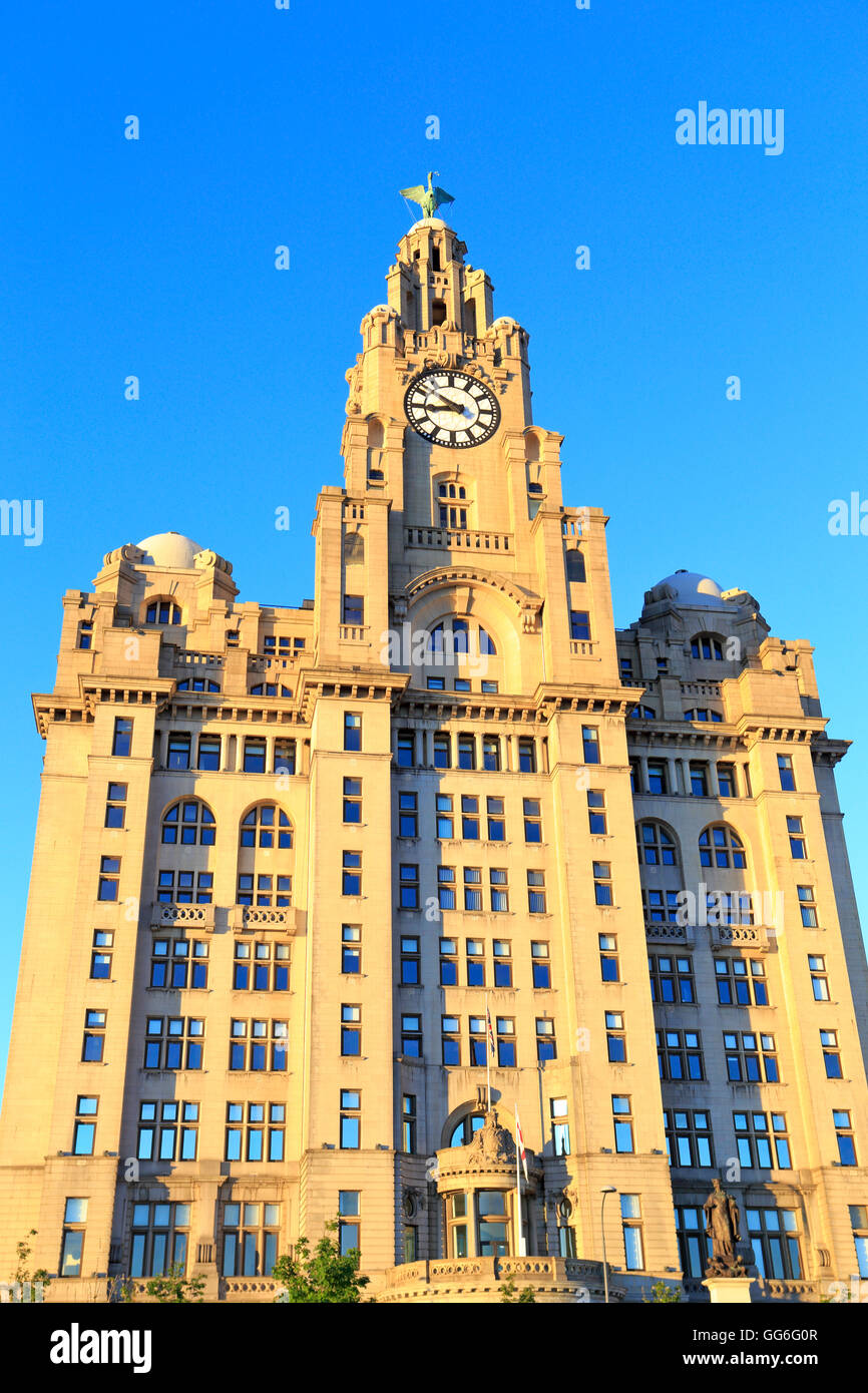 Royal Liver Building, Pier Head, Liverpool, Merseyside, England, UK ...