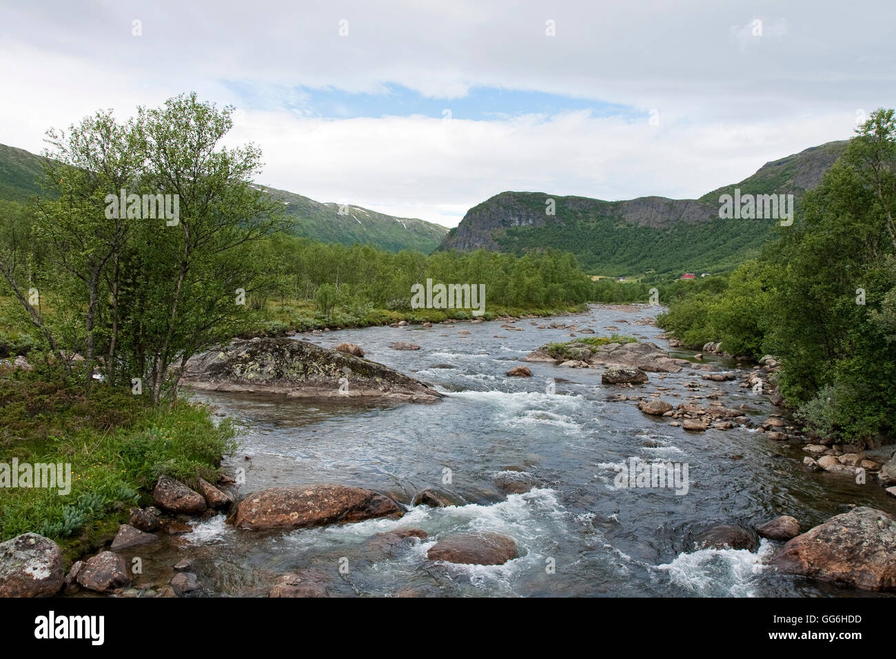 Small river in the mountains at Hemsedalen, Norway Stock Photo - Alamy