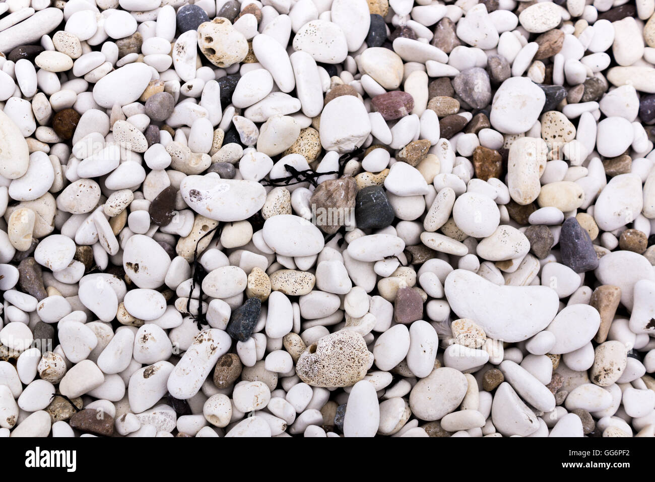 White stones on beach Stock Photo - Alamy