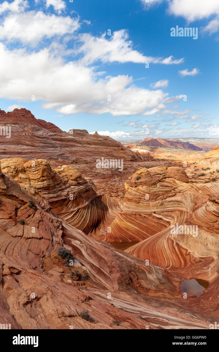 A view to the Wave in Arizona Stock Photo - Alamy