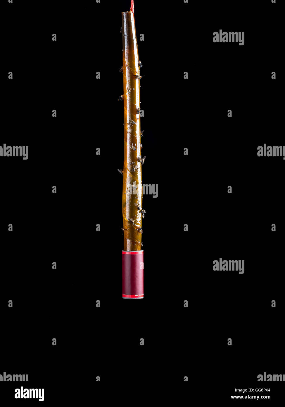 Flypaper hi-res stock photography and images - Alamy