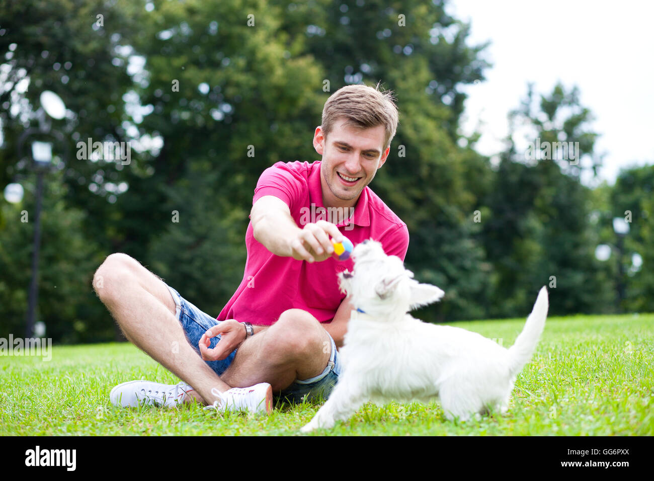 Young man playing with his dog in the summer park Stock Photo - Alamy