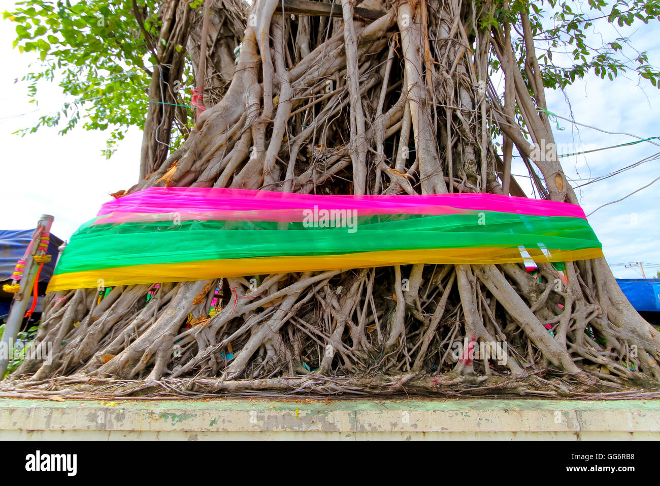 Tree woman white cloth hi-res stock photography and images - Alamy