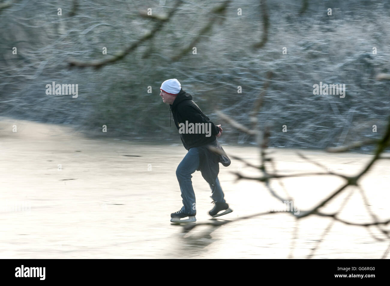 Falmer Pond High Resolution Stock Photography and Images - Alamy