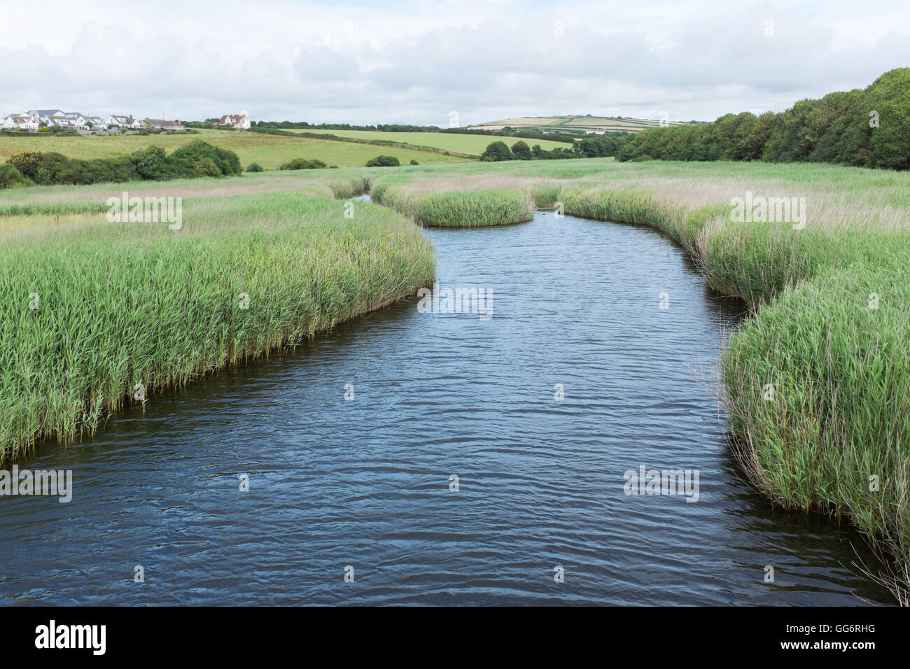 South Milton Ley Nature Reserve near Thurlstone in the South Hams ...