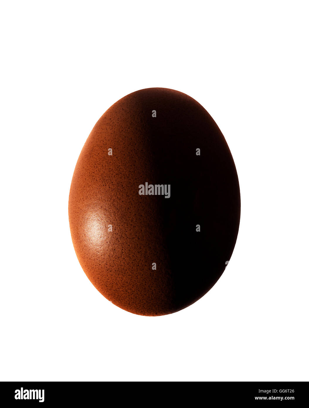 Bird embryo Cut Out Stock Images & Pictures - Alamy