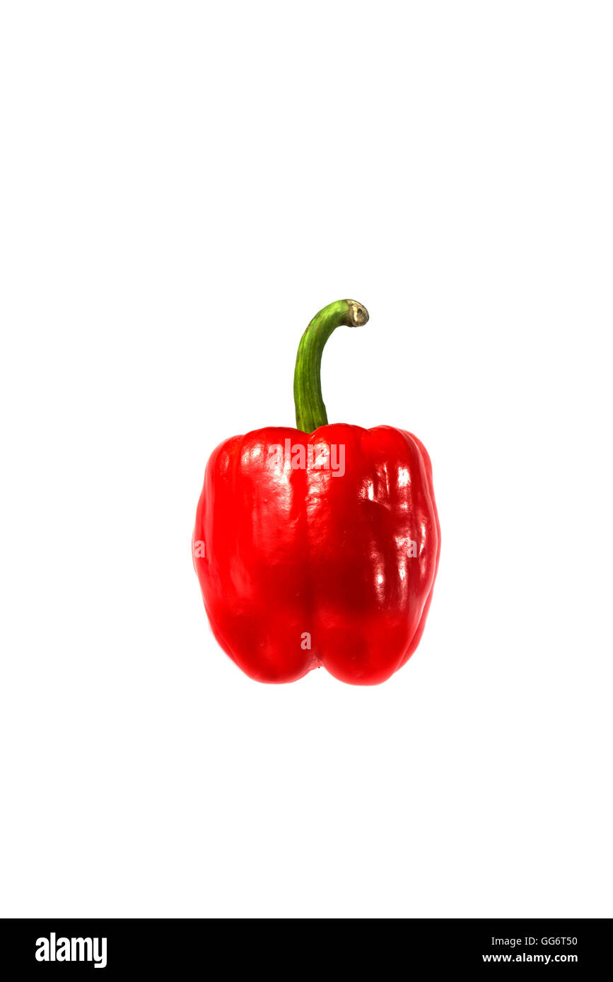 White paprika hi-res stock photography and images - Alamy