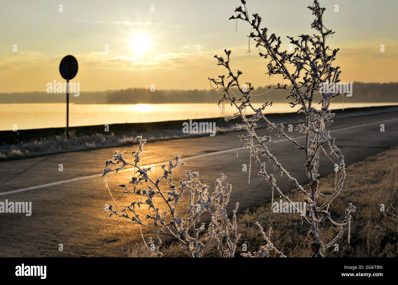 Autumn Dawn frosty road, fog over the lake and grass covered with frost ...