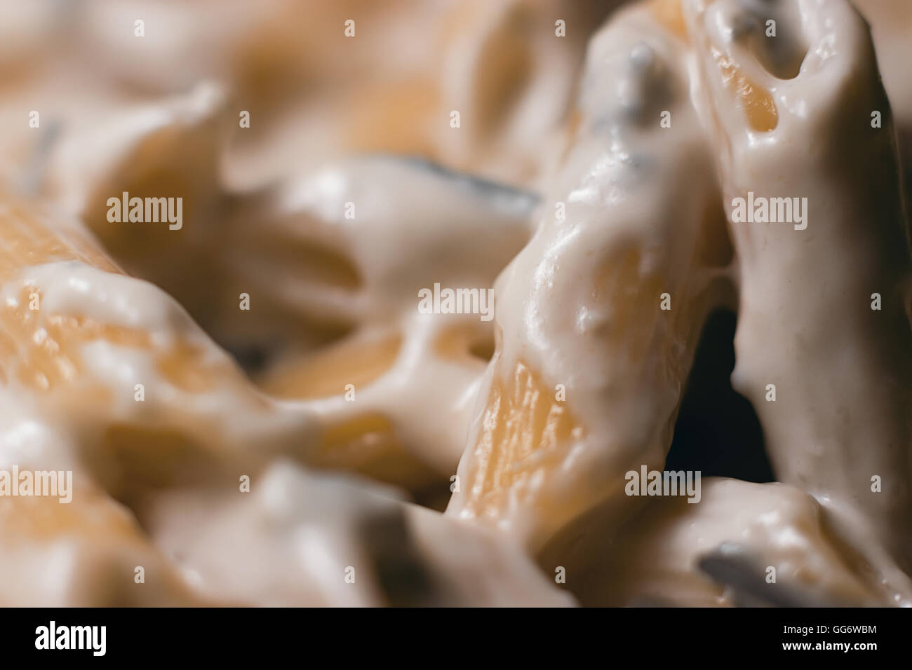 Blue Cheese Pasta Penne close up. Blue cheese sauce. Selective focus ...
