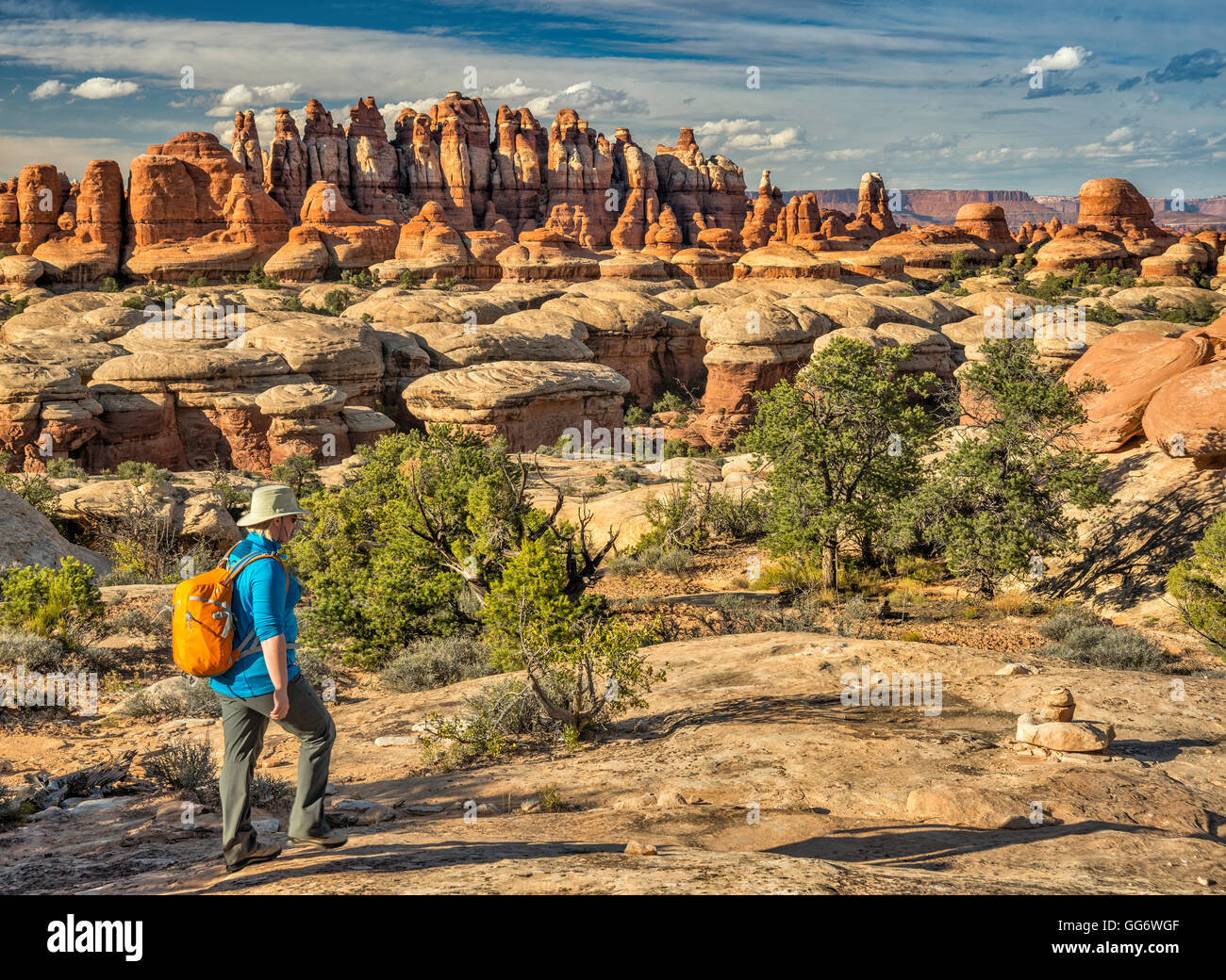 Rock spires at Chesler Park Trail, The Needles section at Canyonlands ...