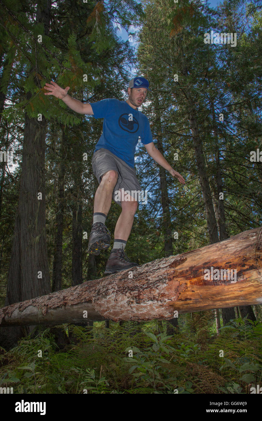 Me crossing a stream using a log Stock Photo - Alamy