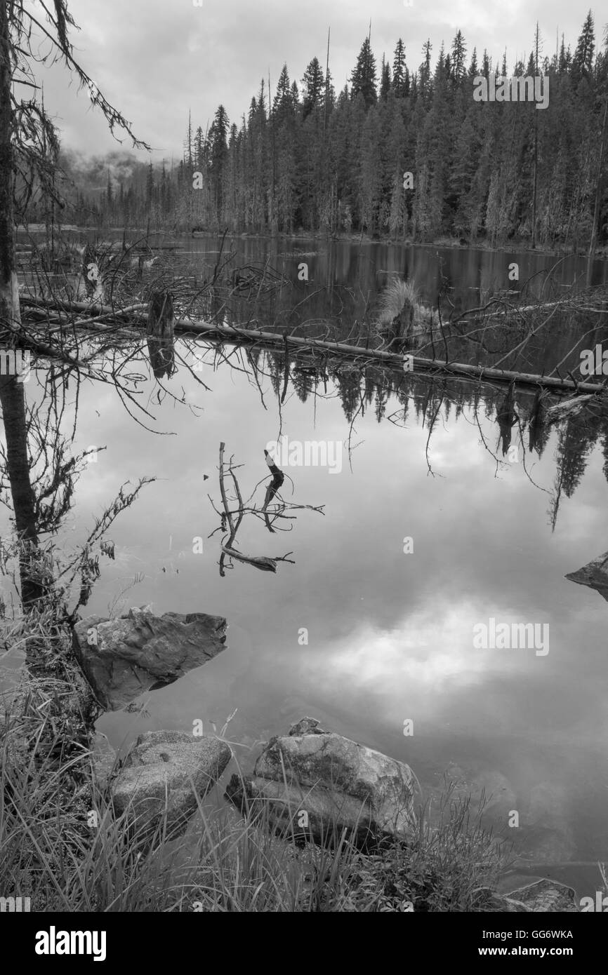 Reflections in a mountain pond Stock Photo - Alamy