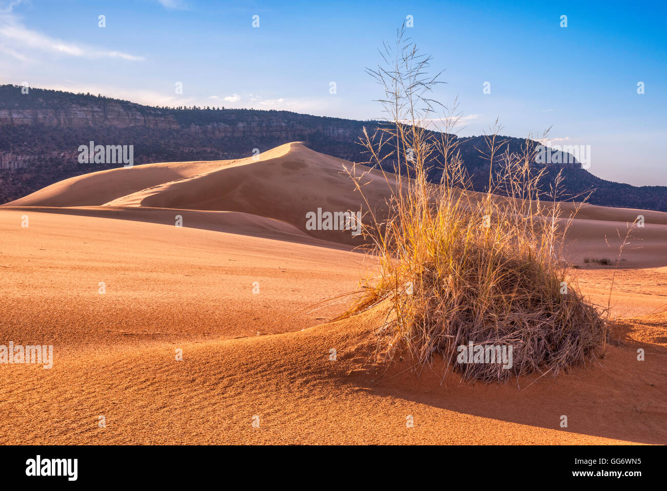 Hummock hi-res stock photography and images - Alamy