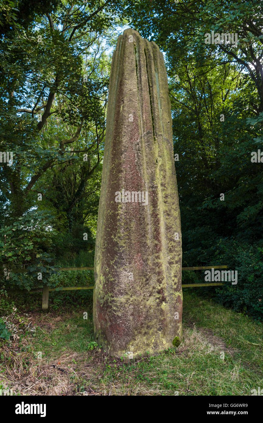 Boroughbridge, North Yorkshire, UK. The Devil's Arrows, an alignment of ...