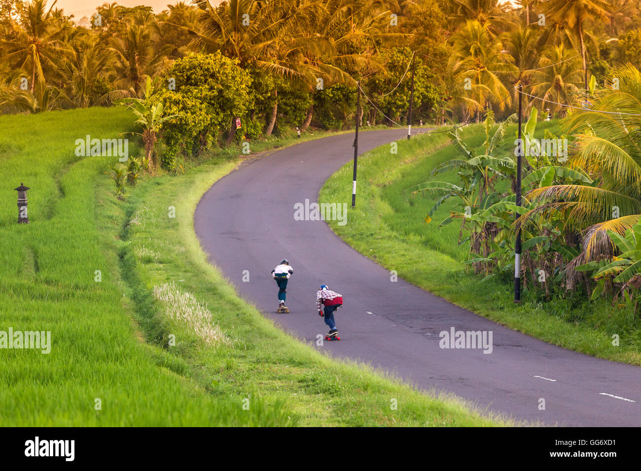 Two longboard skateboarders in action Stock Photo - Alamy