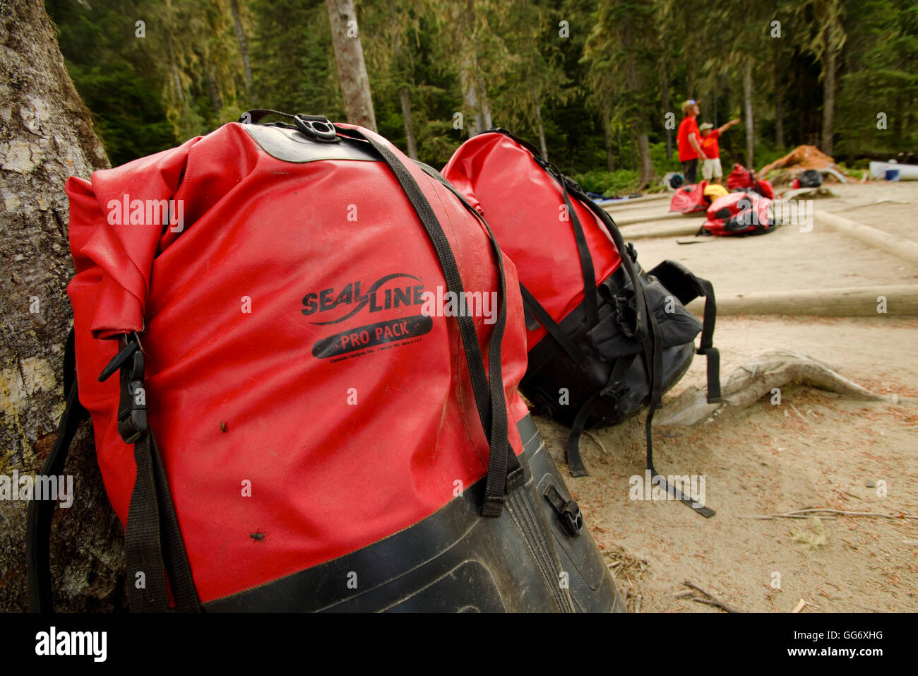 Boy Scouts canoeing on the Bowron Lakes circuit. Bowron Lakes ...