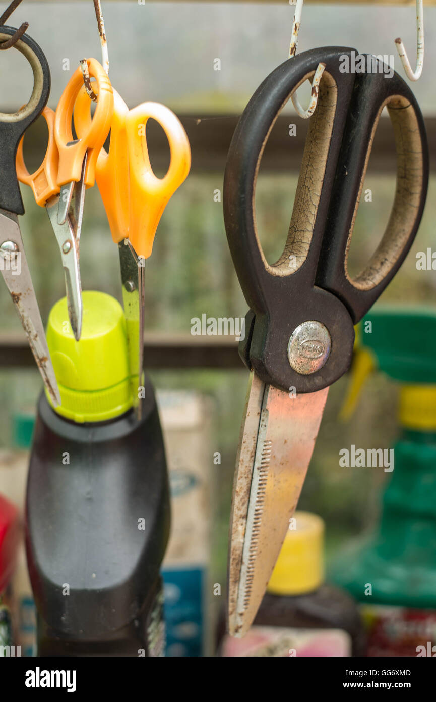 Garden Shed Hand Tools or Scissors Hanging in a Row on a Shelf Stock ...