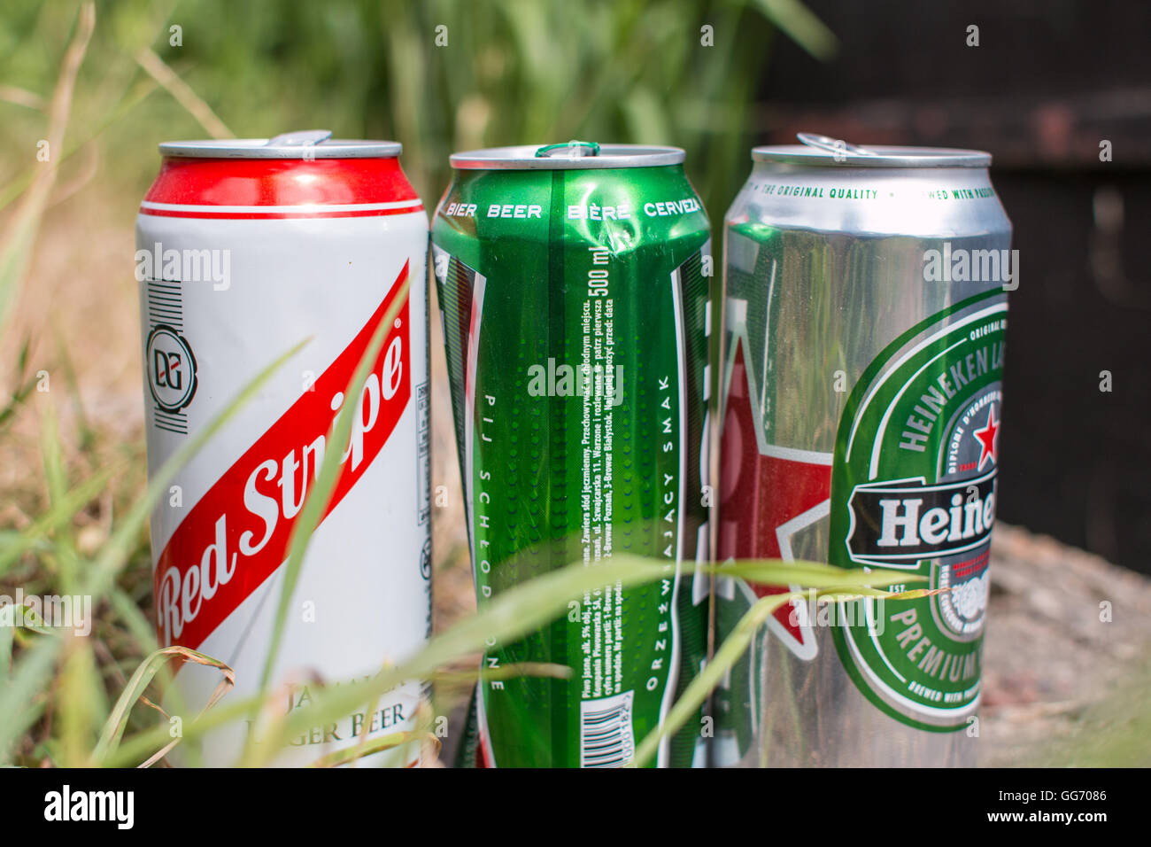 three cans of beer Stock Photo - Alamy