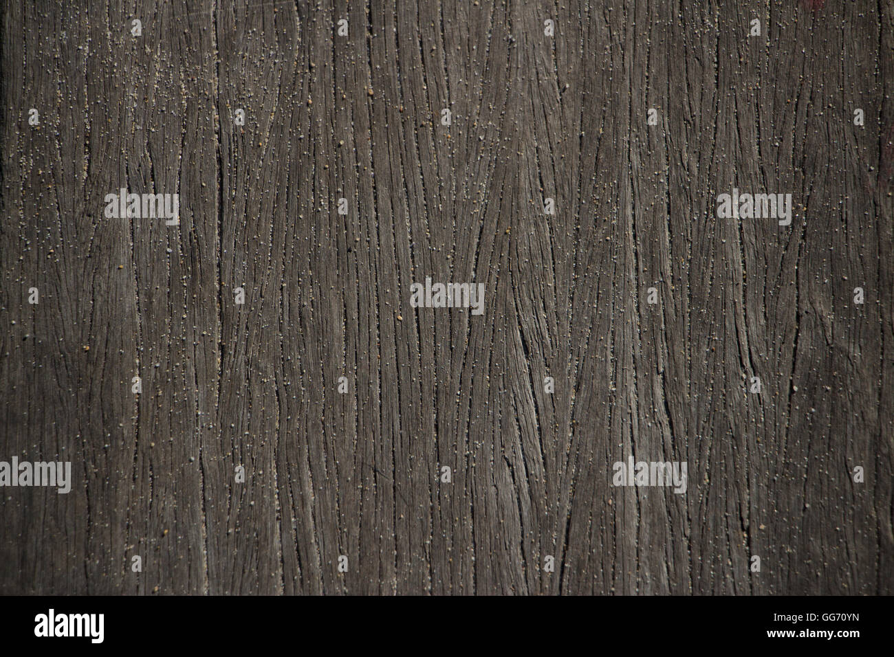 Sandy wood texture Stock Photo - Alamy