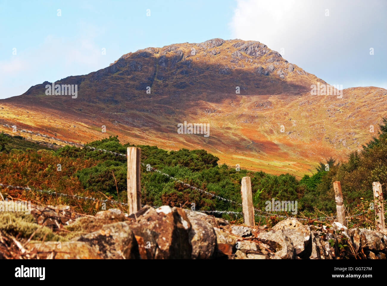 Slieve Foye, Carlingford Mountain, Carlingford, County Louth, Ireland ...