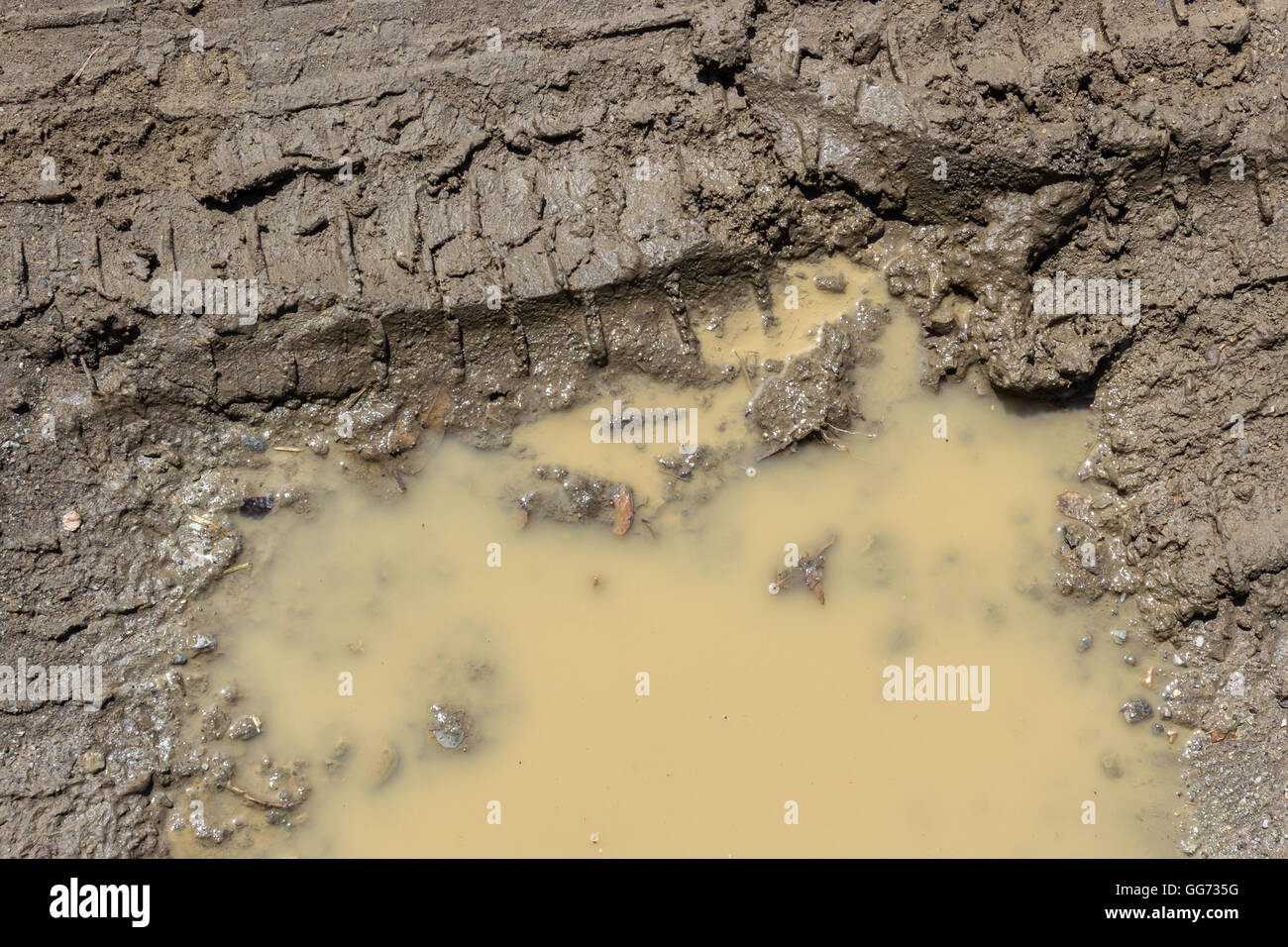 Mud texture hi-res stock photography and images - Alamy