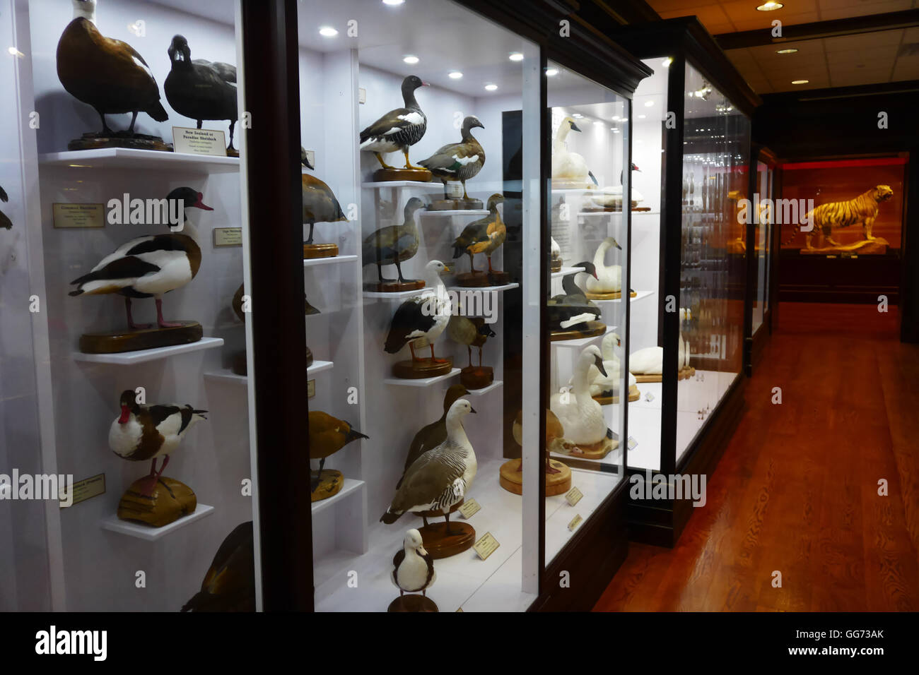 Exhibit at the Monte L. Bean Life Science Museum on the campus of ...
