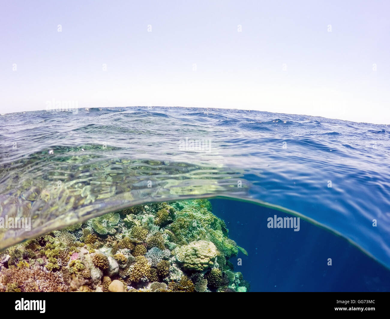 Underwater and surface split view in the tropics paradise with fish and ...