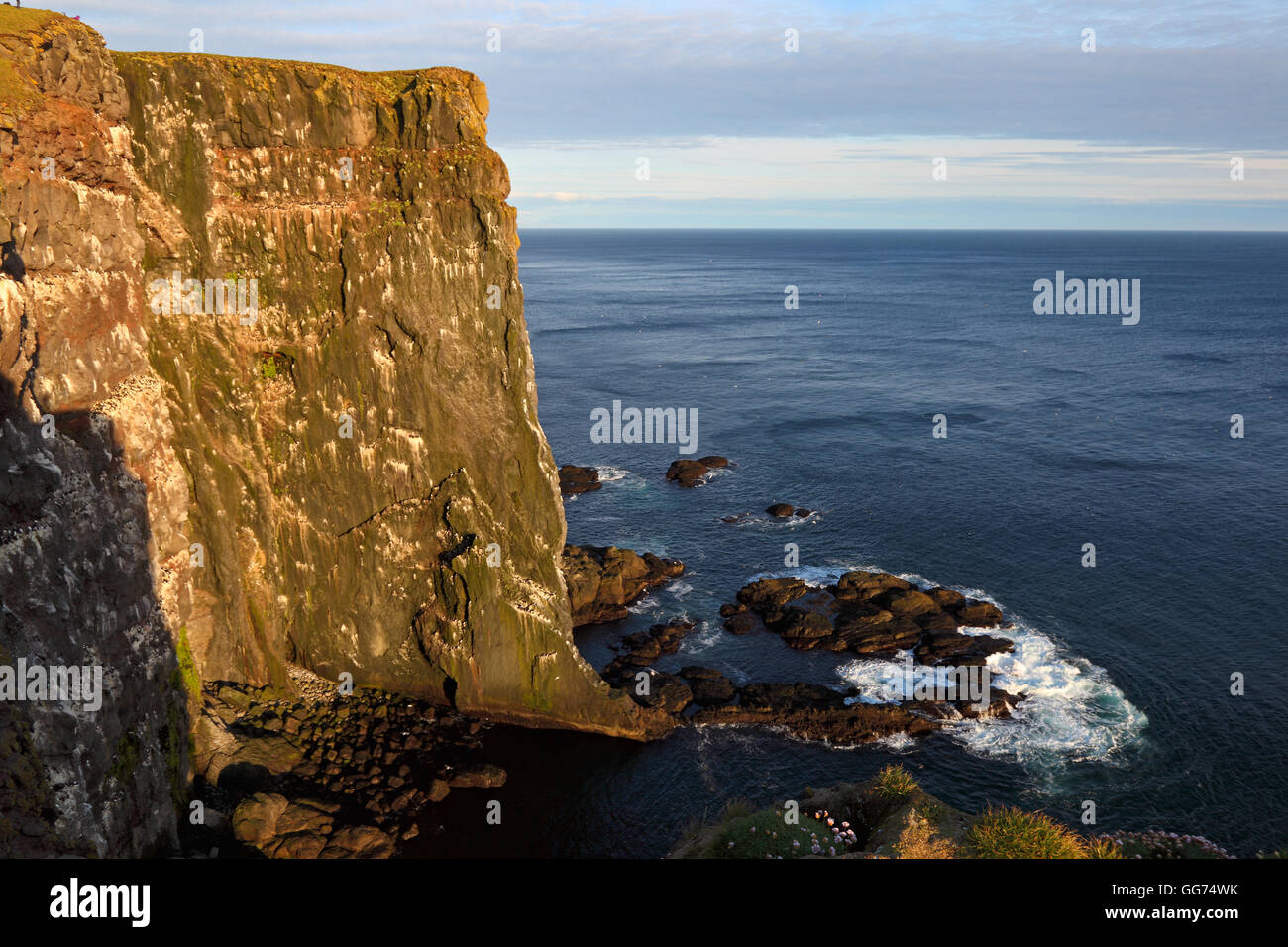Latrabjarg cliffs, Iceland Stock Photo - Alamy