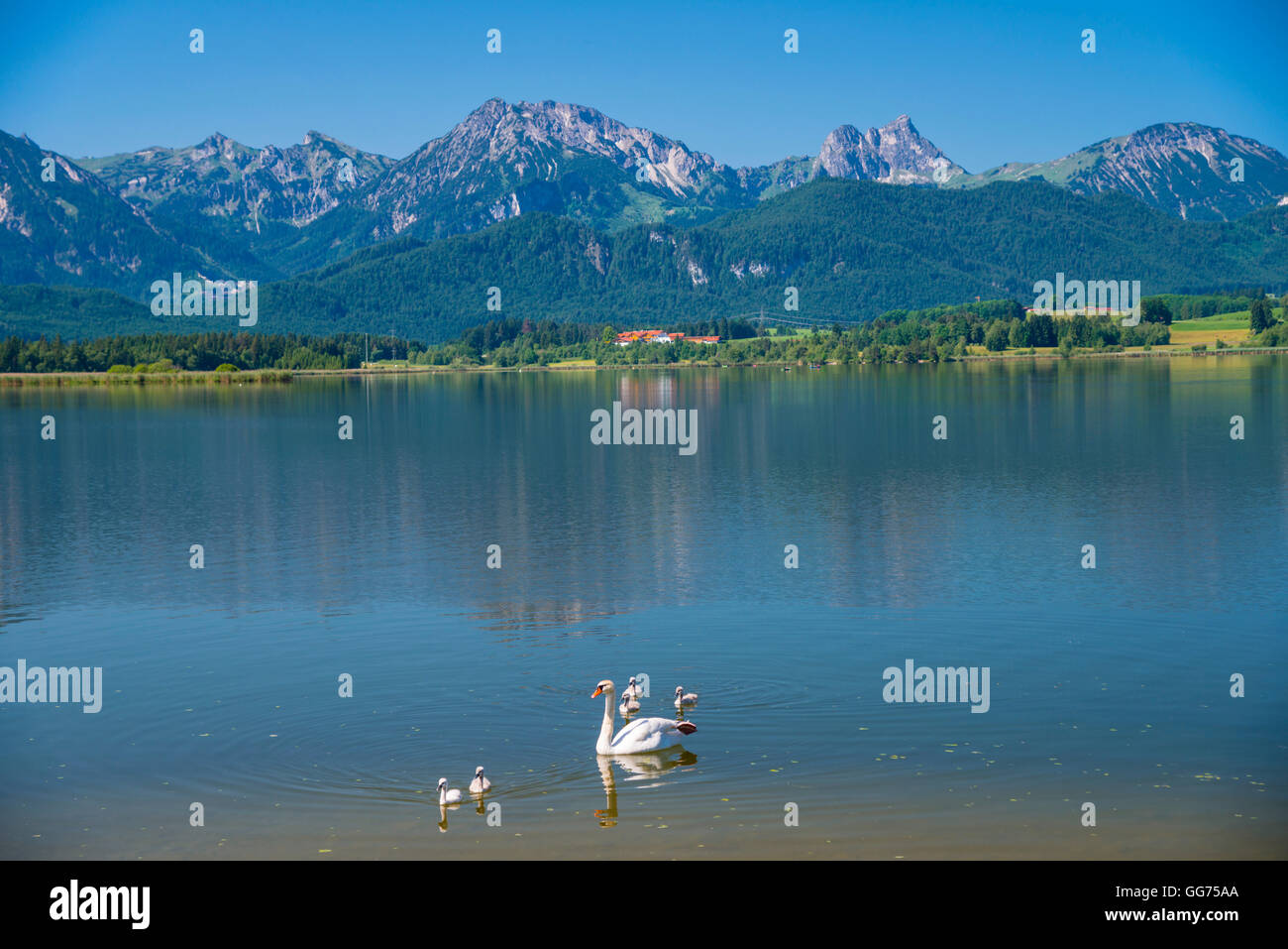 Lake Hopfensee, East Allgaeu Stock Photo - Alamy