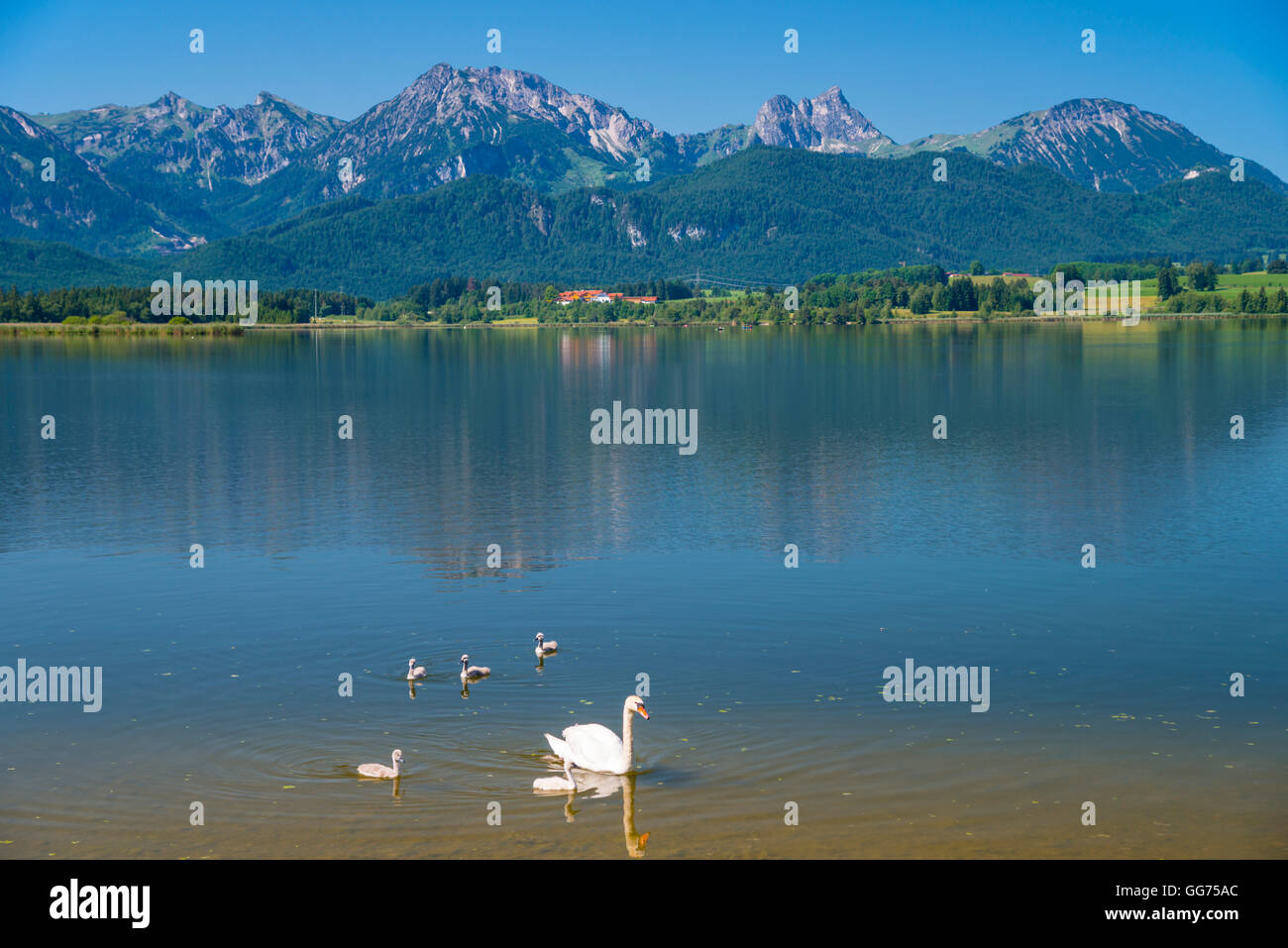 Lake Hopfensee, East Allgaeu Stock Photo - Alamy