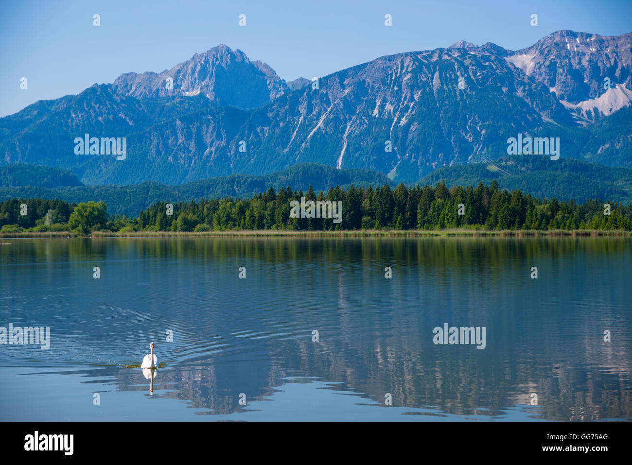 Lake Hopfensee, East Allgaeu Stock Photo - Alamy