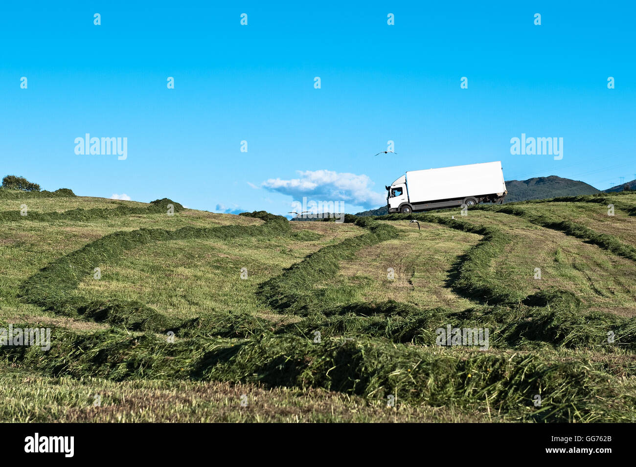Semi truck driving in field hi-res stock photography and images - Alamy