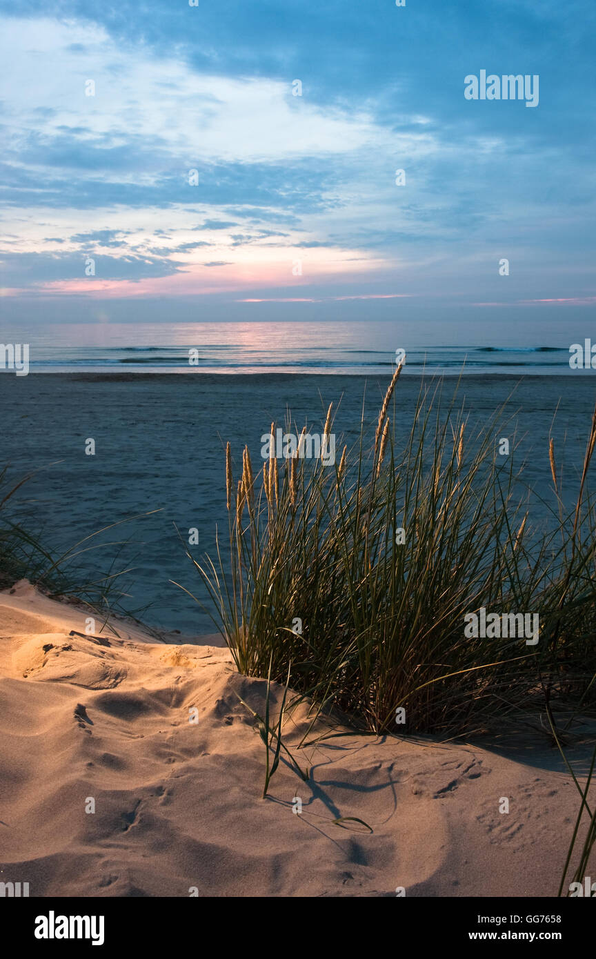 Sunset on a beach in denmark at summer Stock Photo - Alamy