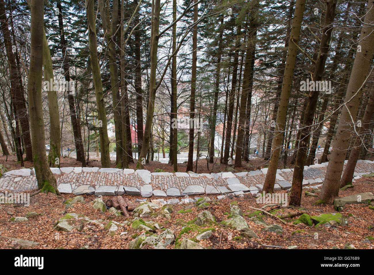 Sandviken Bergen High Resolution Stock Photography and Images - Alamy