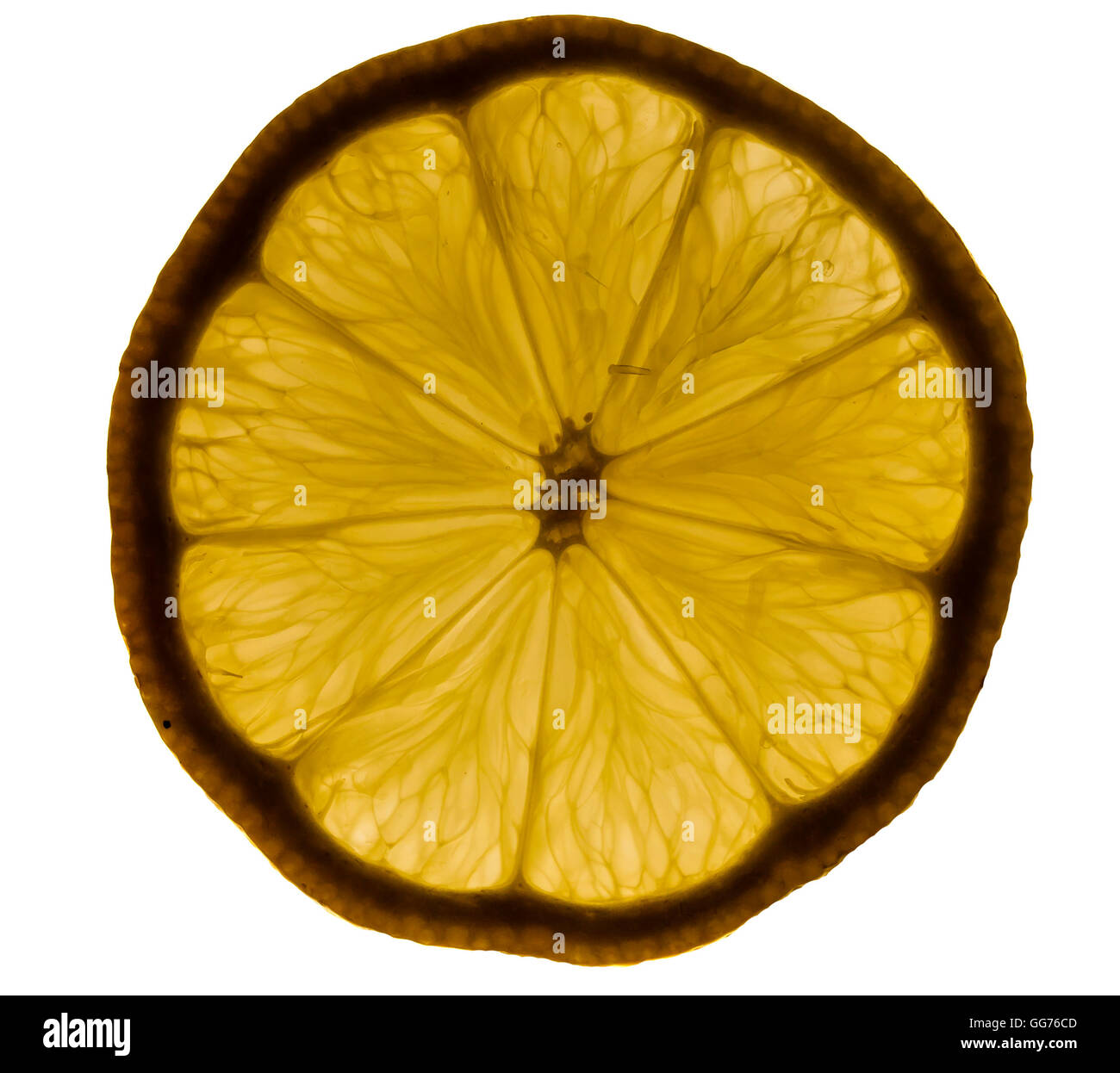 citron, closeup, isolated, vegetarian, lemon, ripe, olympias, slice ...