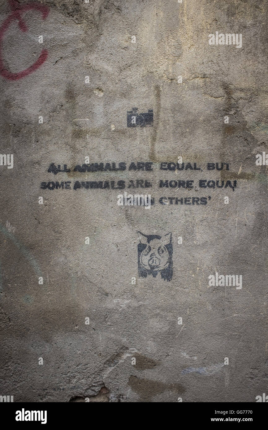 Graffiti Quotation High Resolution Stock Photography and Images - Alamy