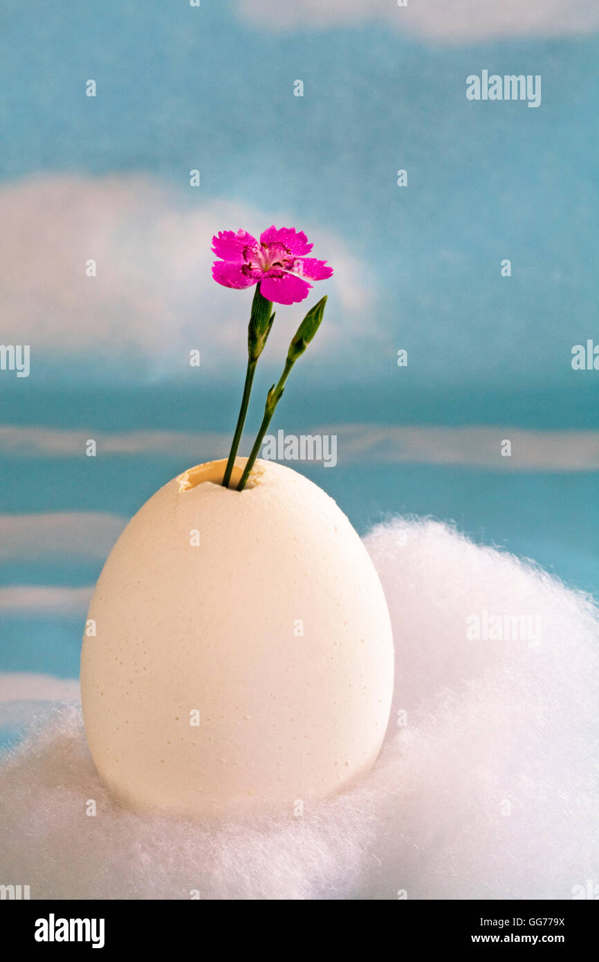 An egg flower for egg flower soup Stock Photo - Alamy