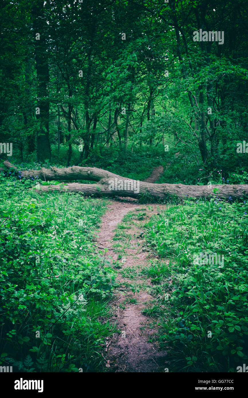 Pathway Blocked High Resolution Stock Photography and Images - Alamy