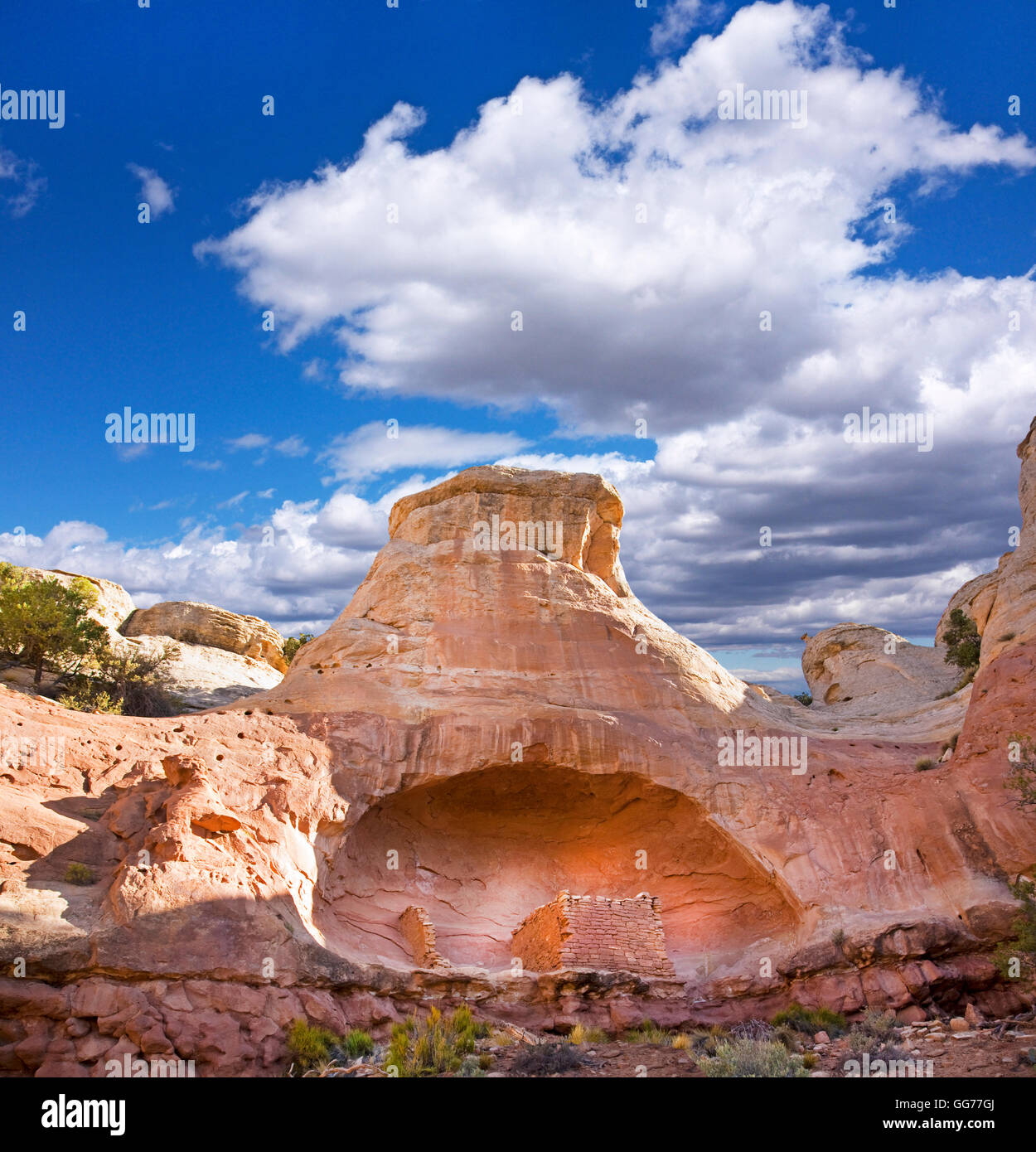 A thousand year old corn cyst in a sandstone overhang at Saddlehorn ...