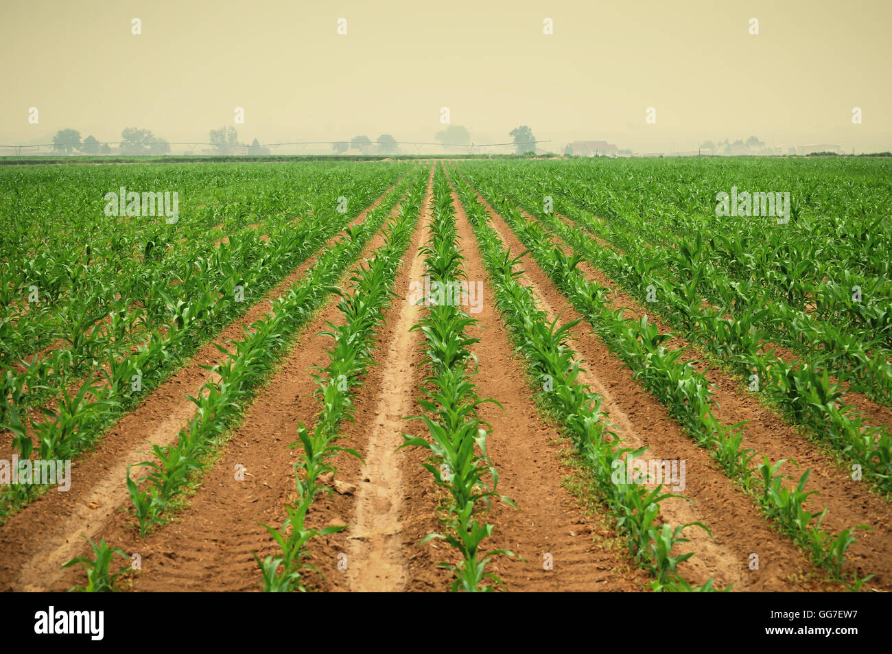 Look furrows hi-res stock photography and images - Alamy