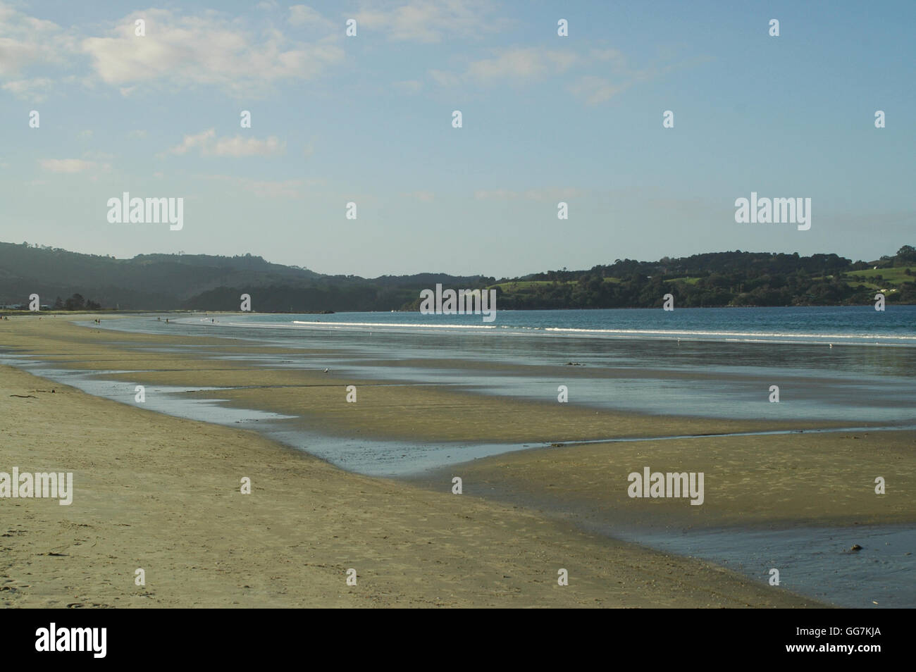 Omaha bay new zealand hi-res stock photography and images - Alamy