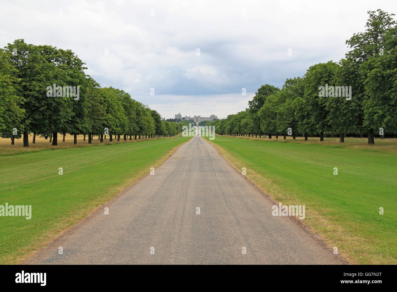 Windsor Castle from the Long Walk, Windsor Great Park, Berkshire ...