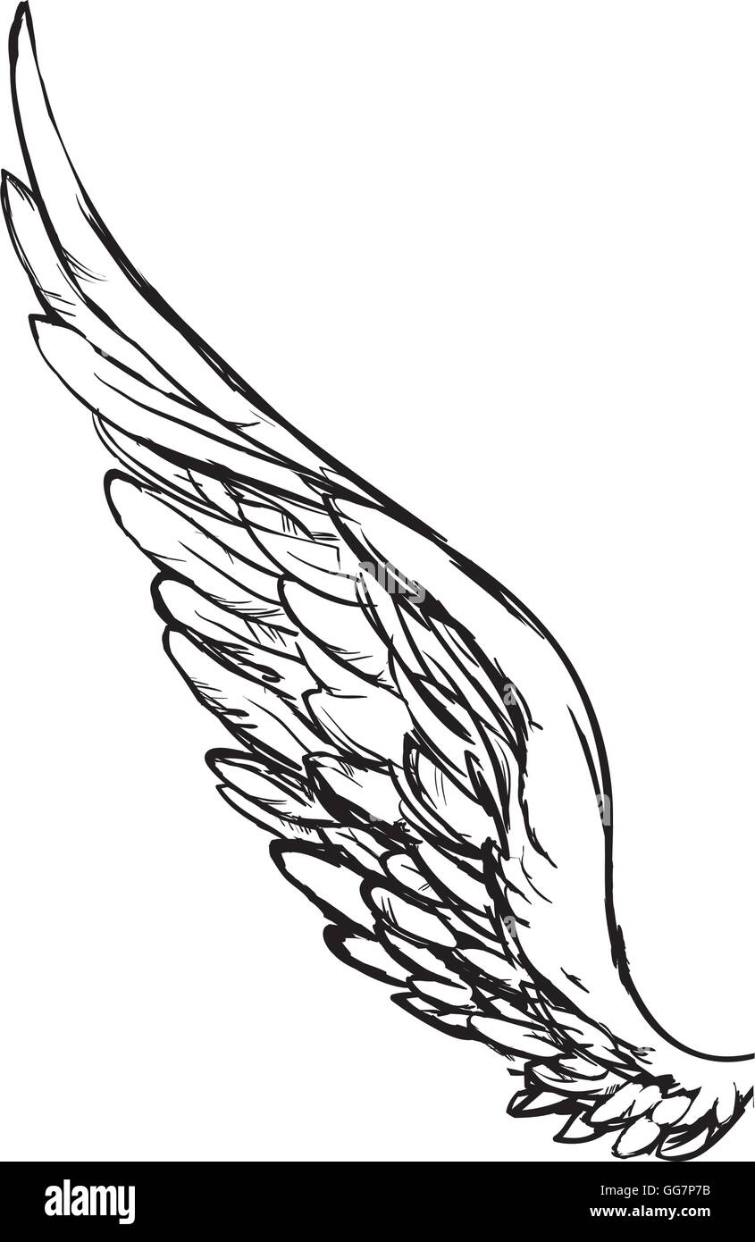 wing feather animal bird angel icon. Vector graphic Stock Vector Image ...