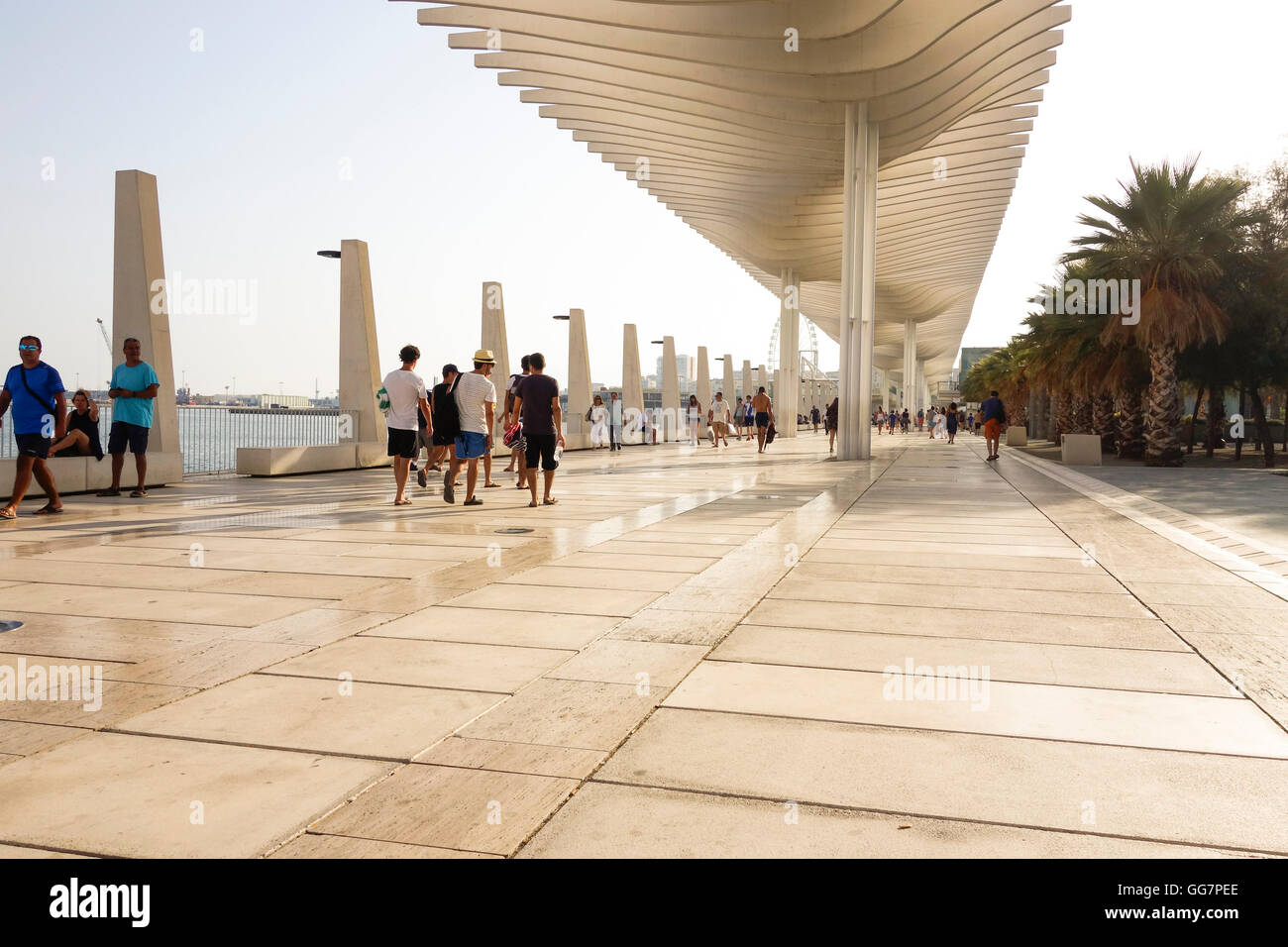 Modern Marina and waterfront promenade in Malaga, "Palmeral de las ...