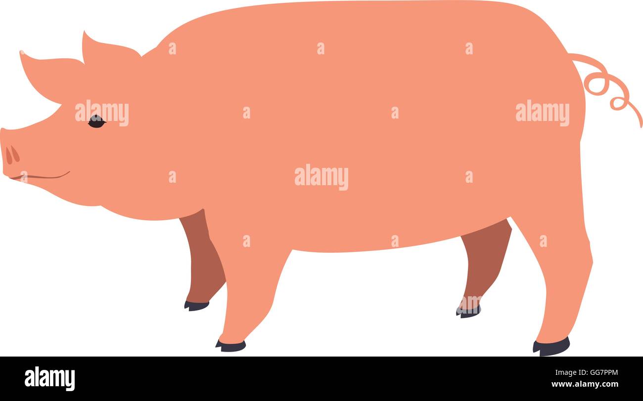 Pig animal farm pet character icon. Vector graphic Stock Vector Image ...