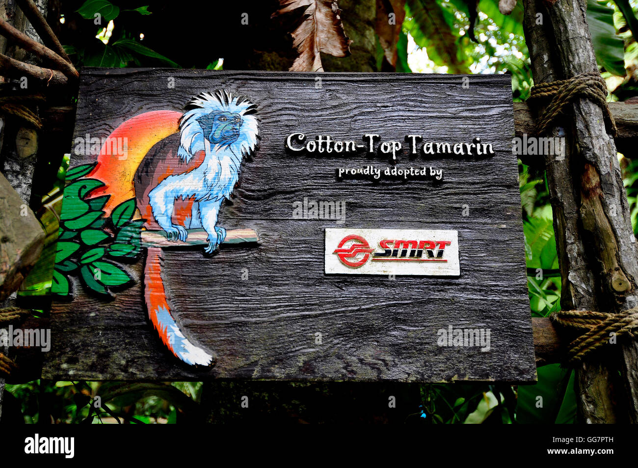 Zoo Direction High Resolution Stock Photography and Images - Alamy