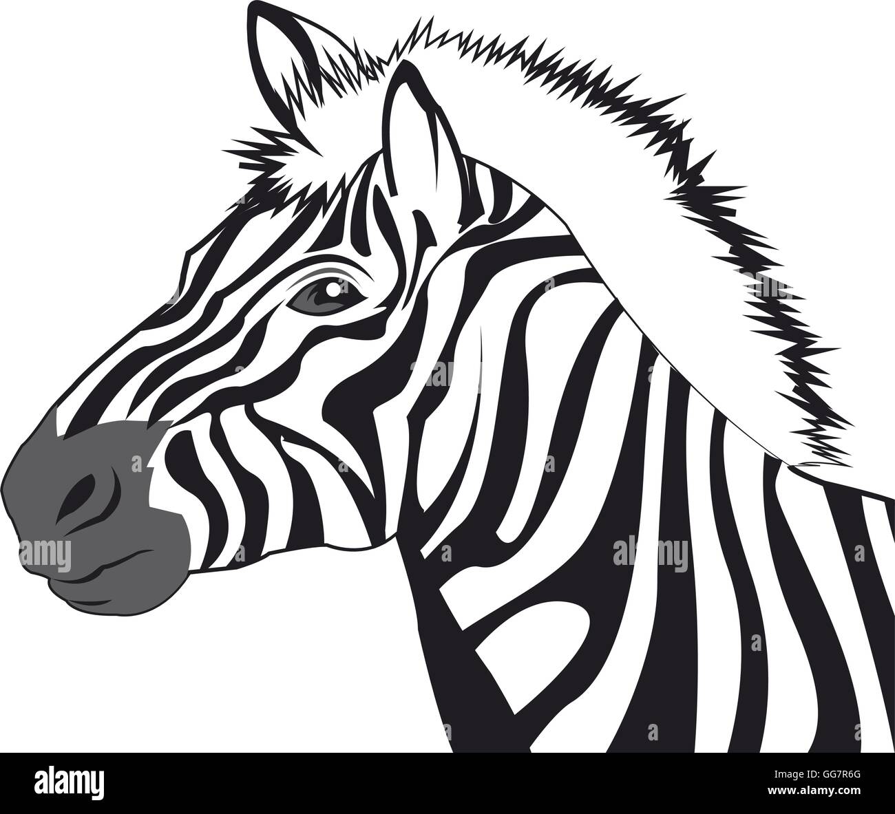 zebra drawing icon Stock Vector Image & Art - Alamy